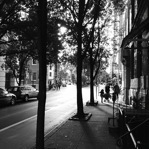 Looking west on Christopher – Megnut