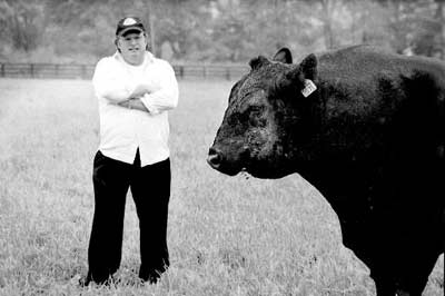 Photo from The Land… – Megnut